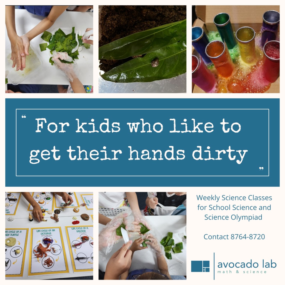 Classes – Avocado Lab