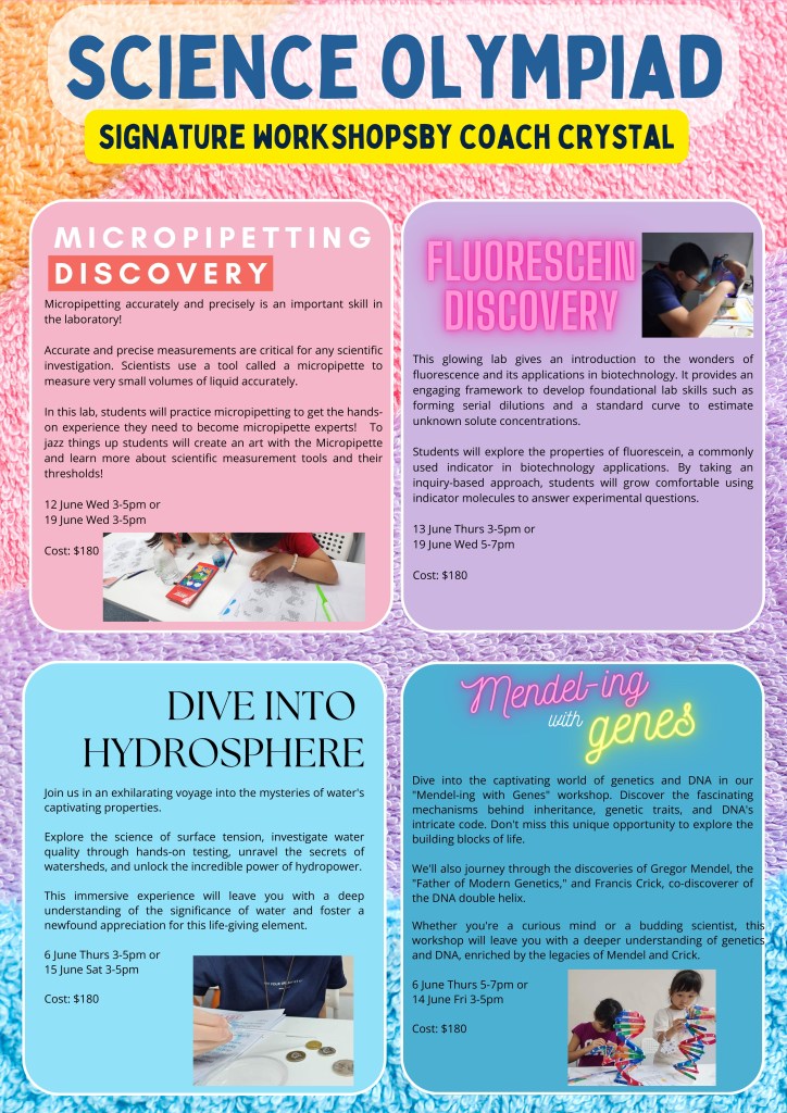 Holiday Workshops – Avocado Lab