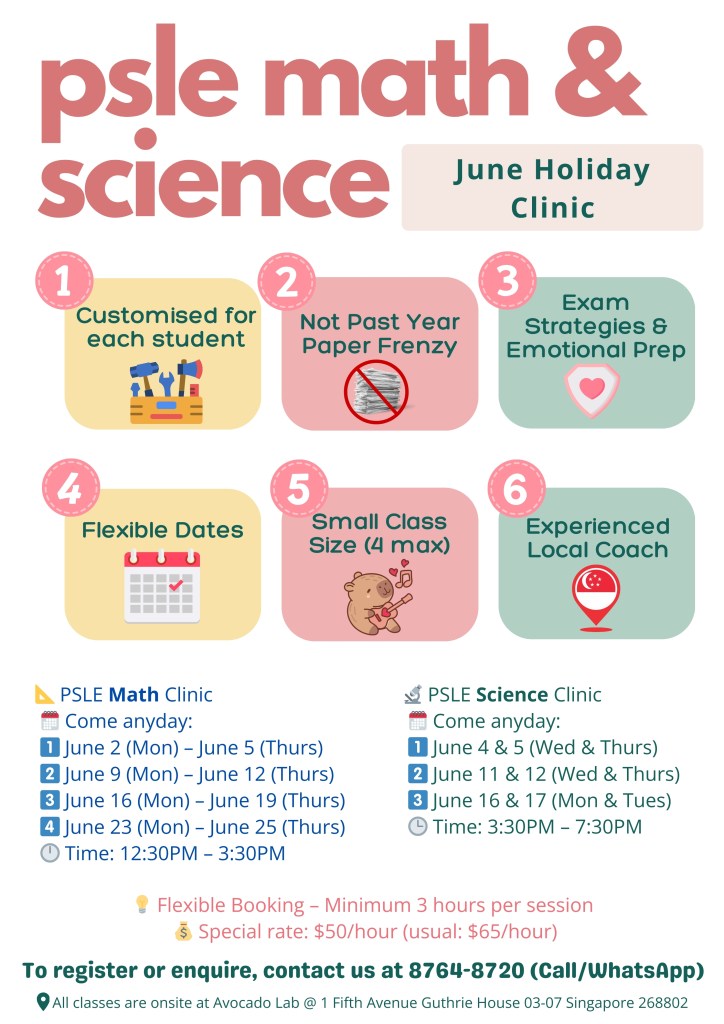 Holiday Workshops – Avocado Lab